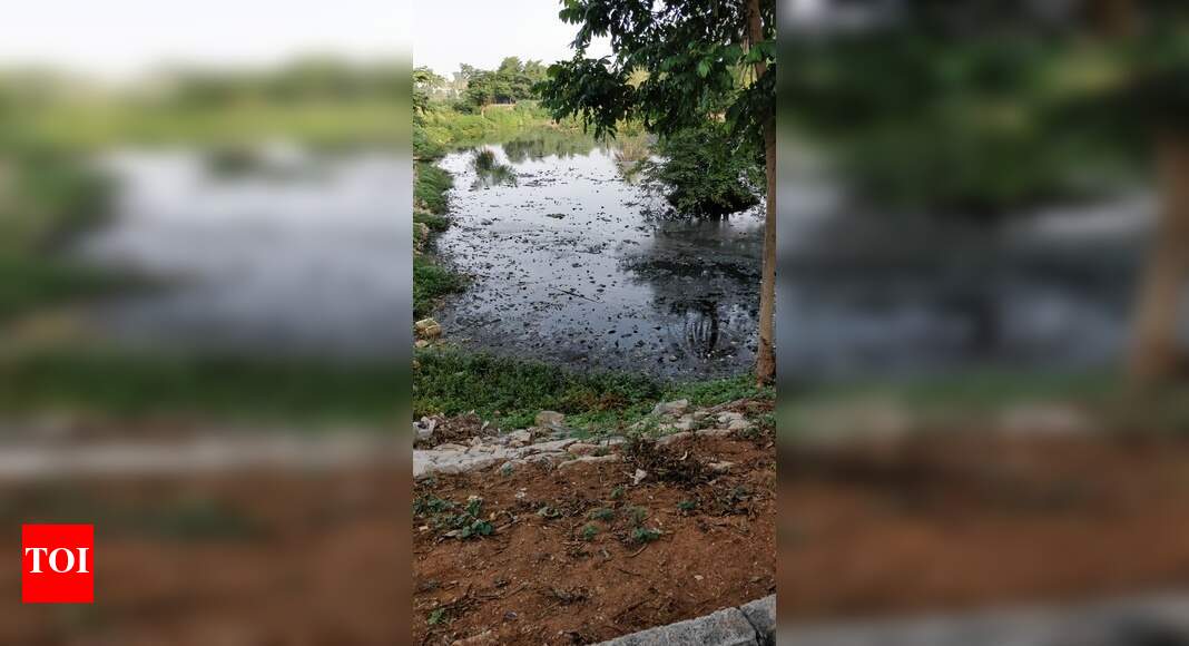 After Varthur Lake, Mallathahalli Lake Foams - Times of India