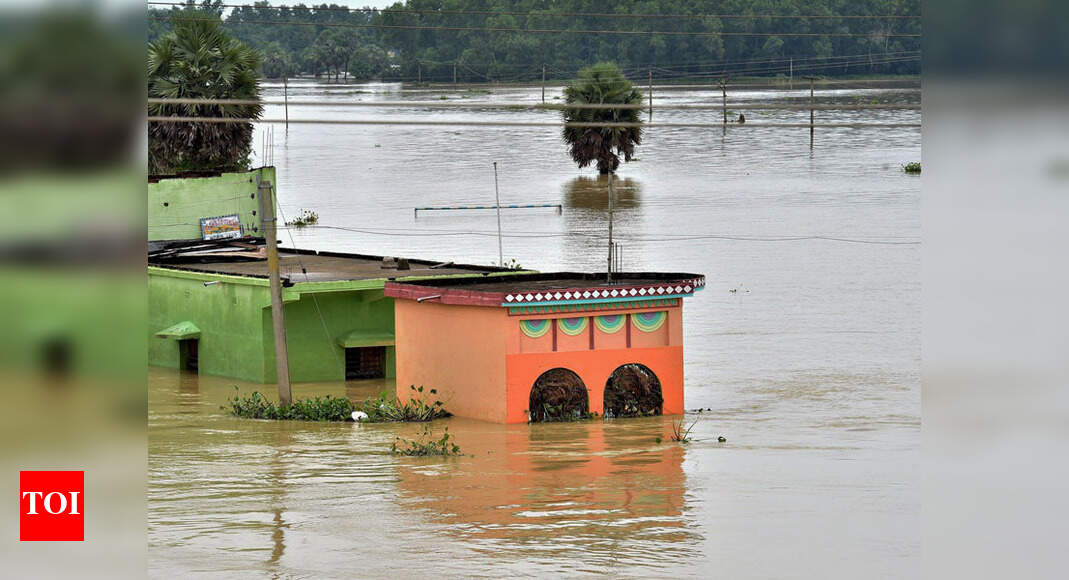Bengal Floods: Flood situation in Bengal improves; 7 dead in Odisha ...