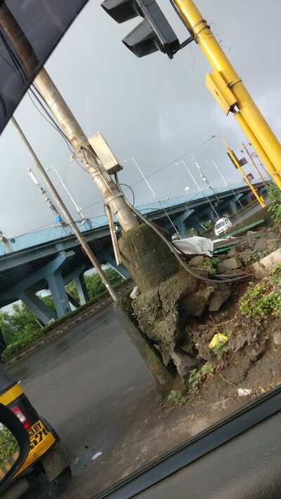 Real bad condition of traffic signal pole - Times of India