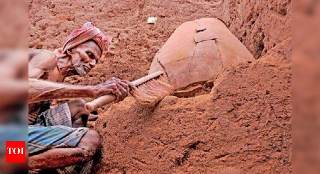 Dig this: Keezhadi gives archaeology appeal at University of Madras ...