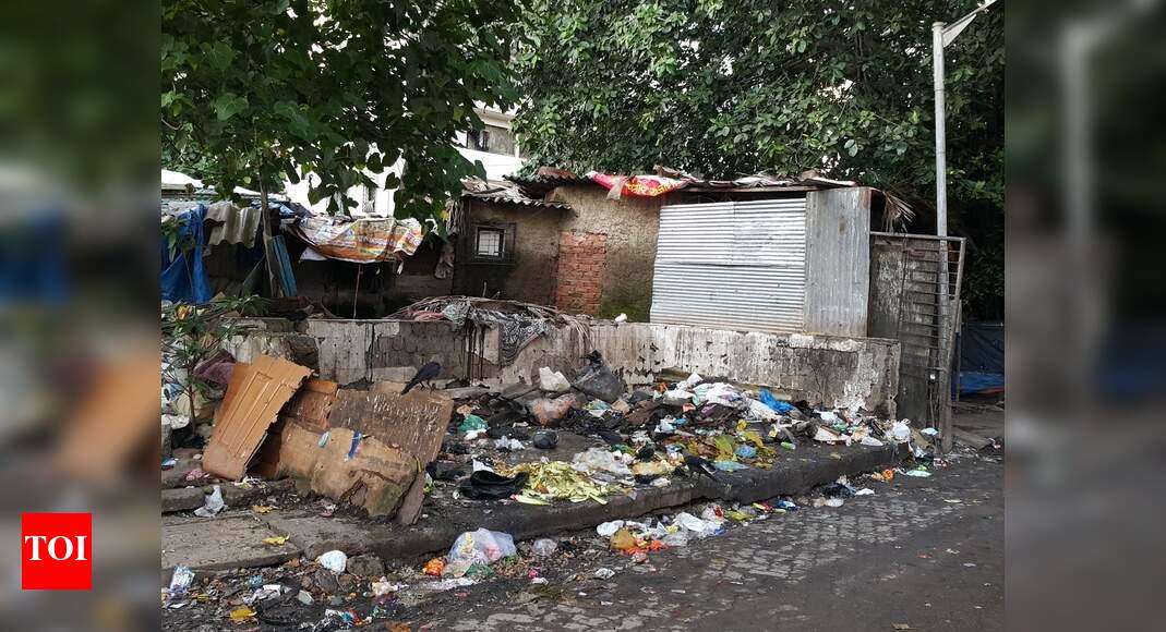 Garbage Mess - Times of India
