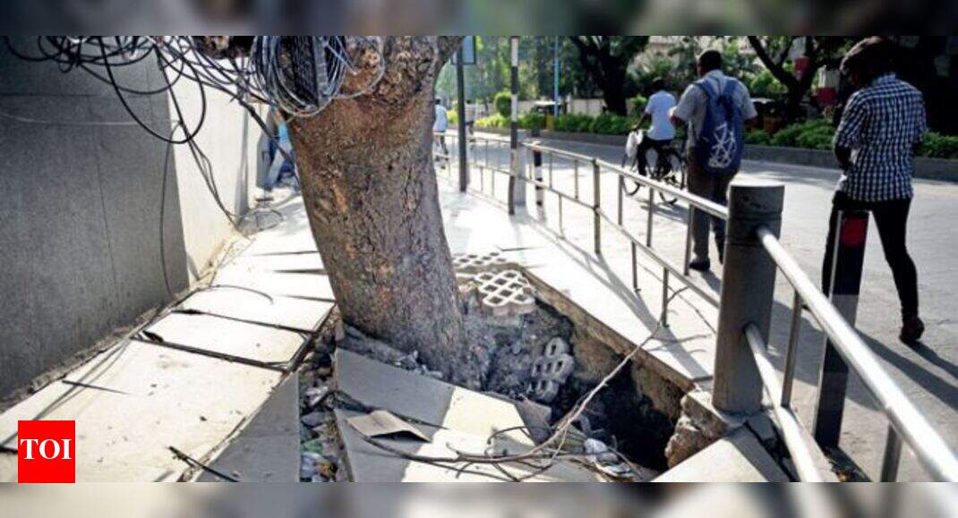 Italy: Harrington Road footpath damaged by TNEB | Chennai News - Times ...