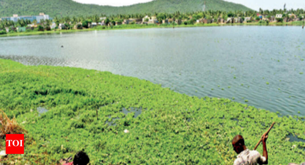 Restoration of Perungalathur lake begins | Chennai News - Times of India