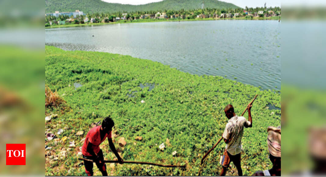 Restoration of Perungalathur lake begins | Chennai News - Times of India