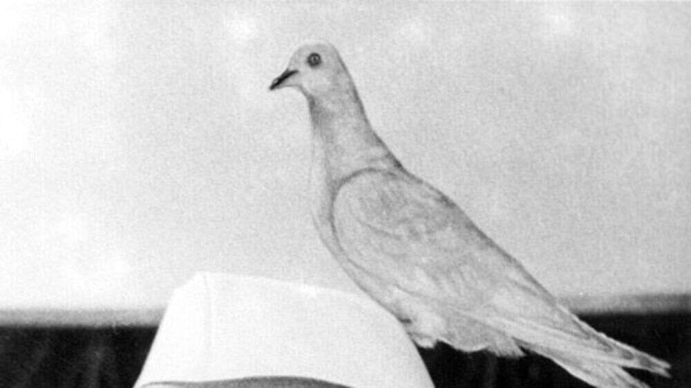 Rare pics of Pt. Jawaharlal Nehru | The Times of India