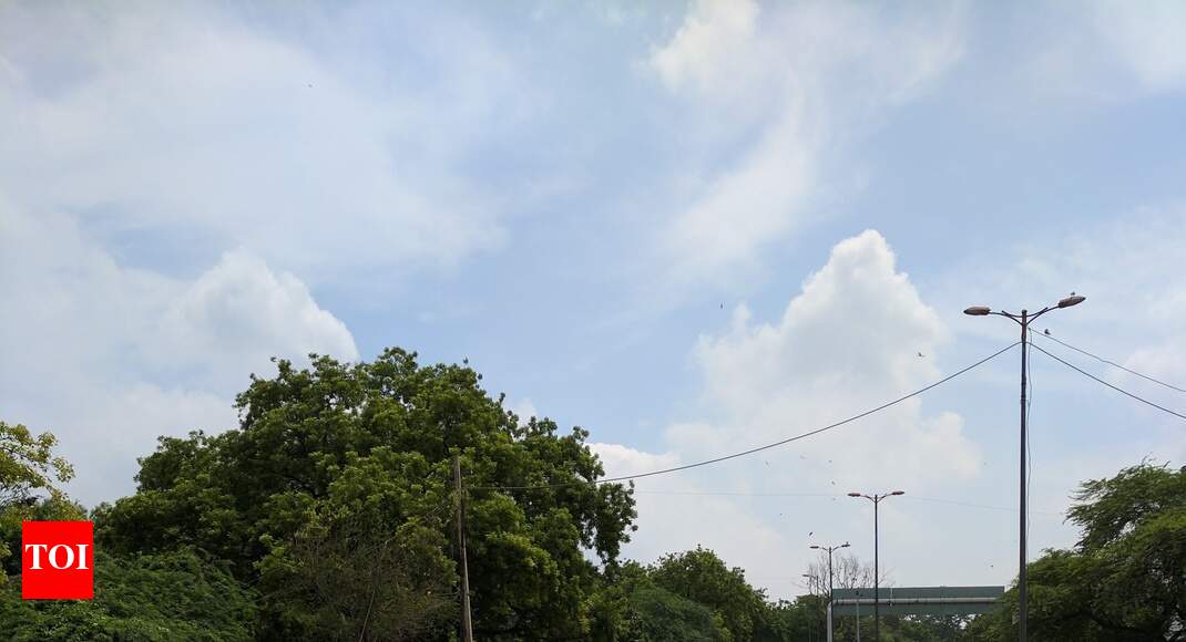 Clean Lodhi Road for LG visit - Times of India