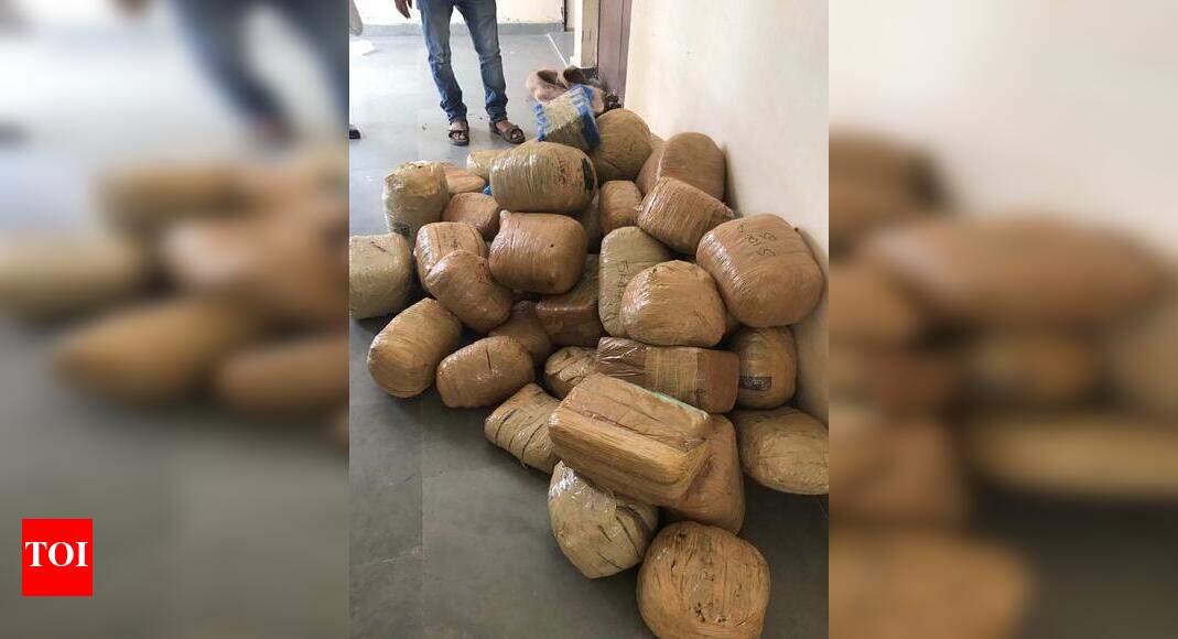 Four arrested with 225 kg marijuana in Greater Noida | Noida News ...