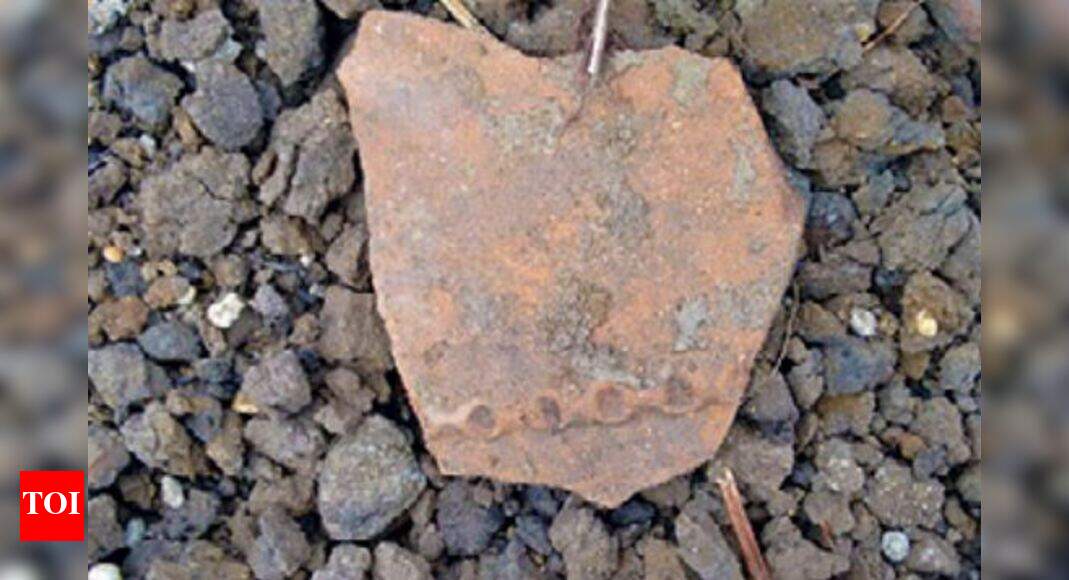 Ancient Burial Unearthed: Ancient burial site dating back to Sangam age ...