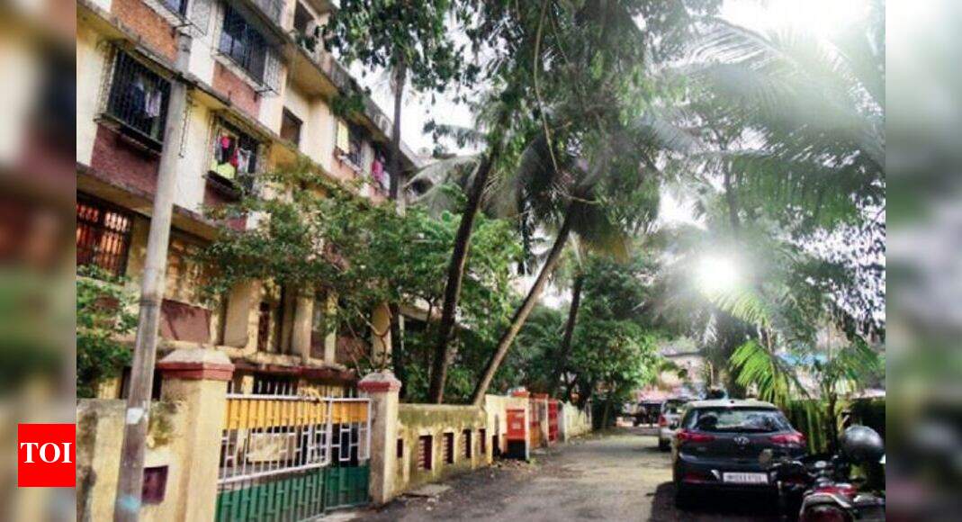 Kanchan Nath: Chembur society has to pay BMC Rs 2.3 lakh to cut, trim ...