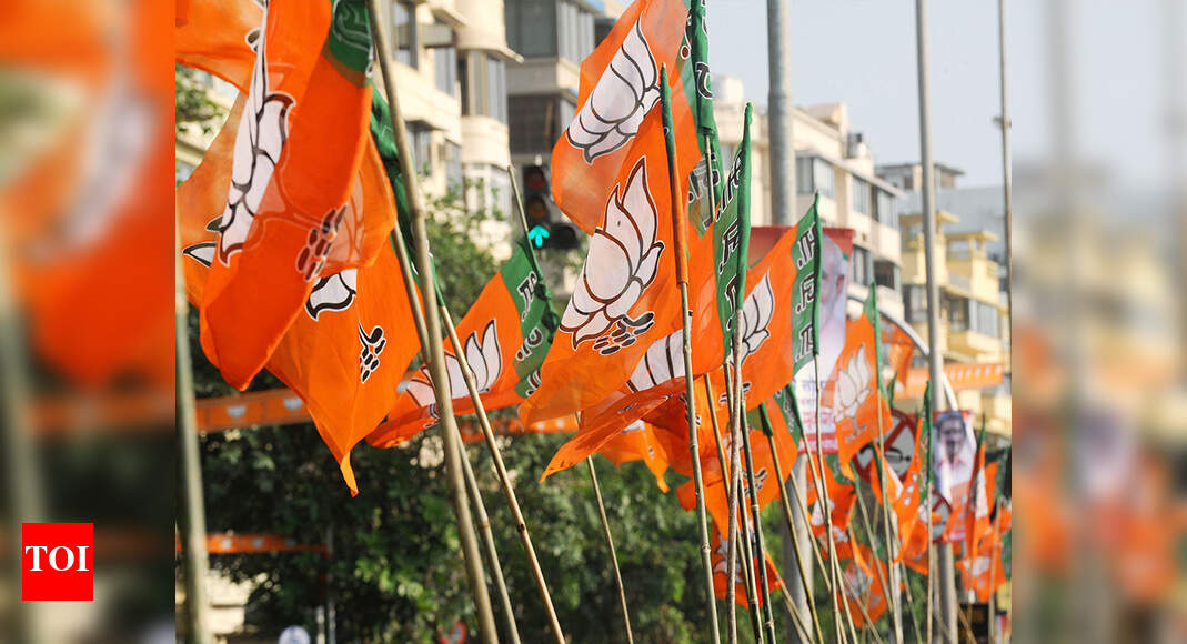 Smart City: Smart City mission will benefit all: BJP | Goa News - Times ...