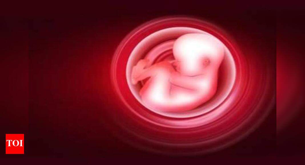 New technique reveals inner structure of live embryos in 3D - Times of ...