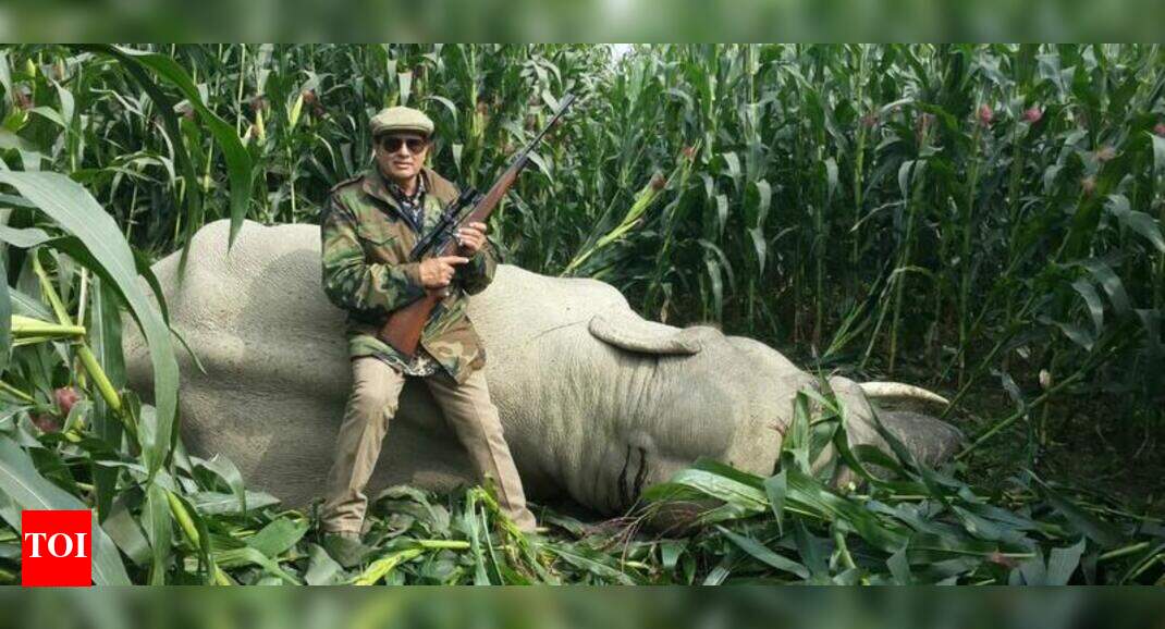 Celebrated hunter enlisted to cull rogue elephant in Sahibganj | Ranchi ...