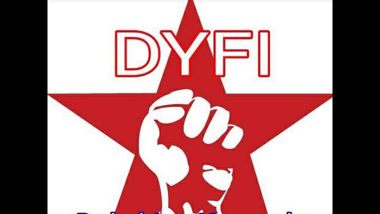 Dyfi Logo