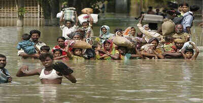 bihar floods - Times of India