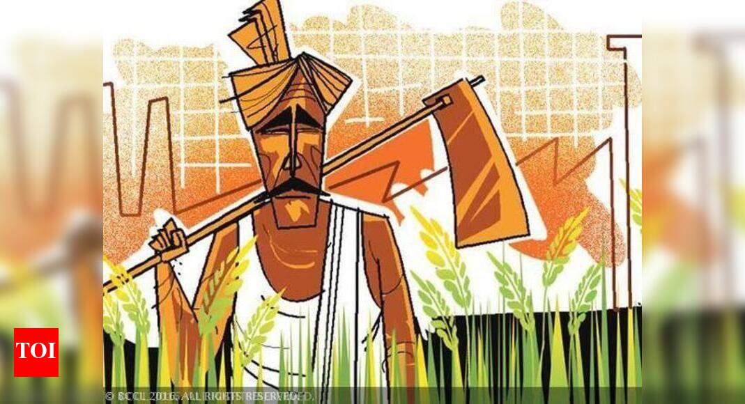 nabard - Times of India