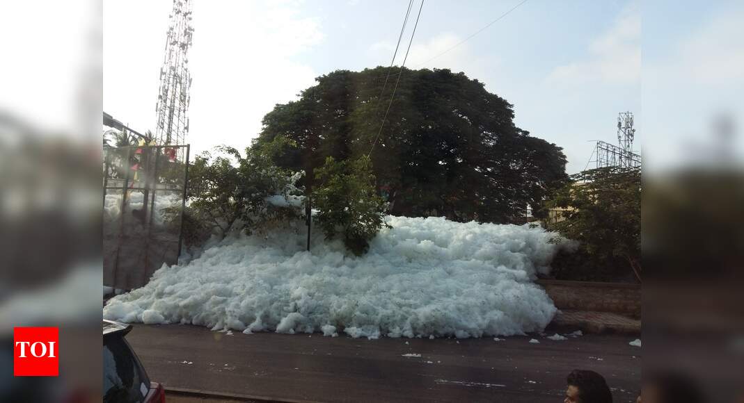 Varthur lake breaks barriers - Times of India