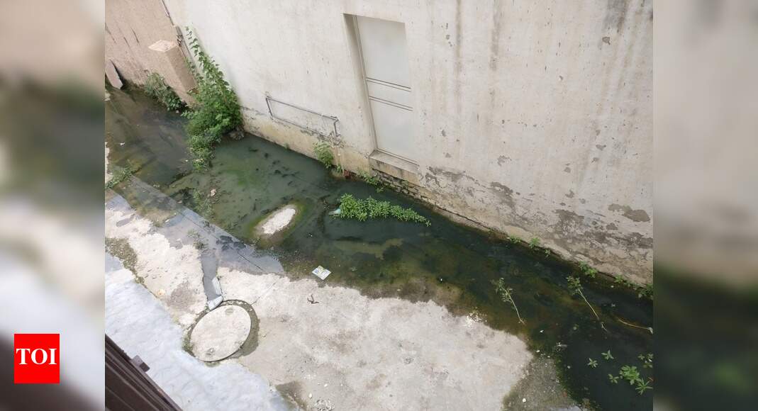 Sewage overflows everywhere - Times of India