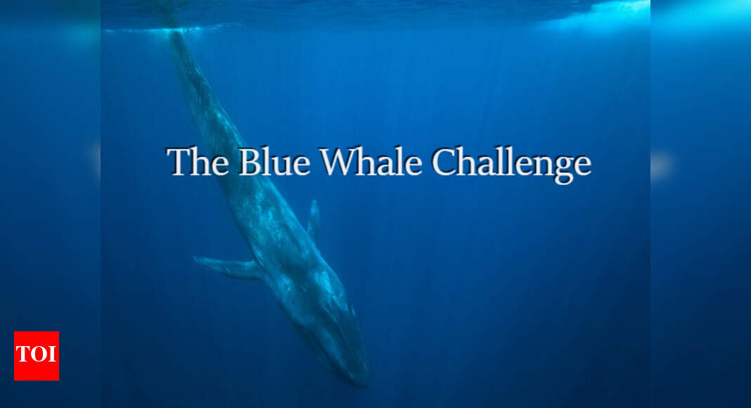 Blue Whale Challenge: Blue Whale game: 5 facts about the deadly Blue ...