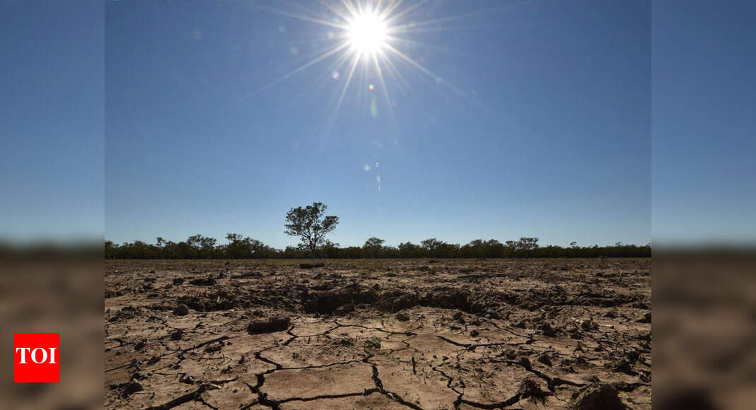 Climate Change In India: Climate change costs India $10 billion every ...