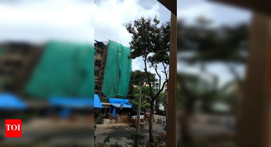 Hacking of trees - Times of India