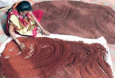 Cleaning, drying and hoping the stink goes away | Bengaluru News ...