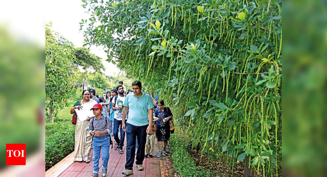 Madras Day: Tree cheers for Chennai | Chennai News - Times of India