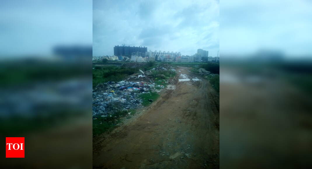 chikka begur lake - Times of India