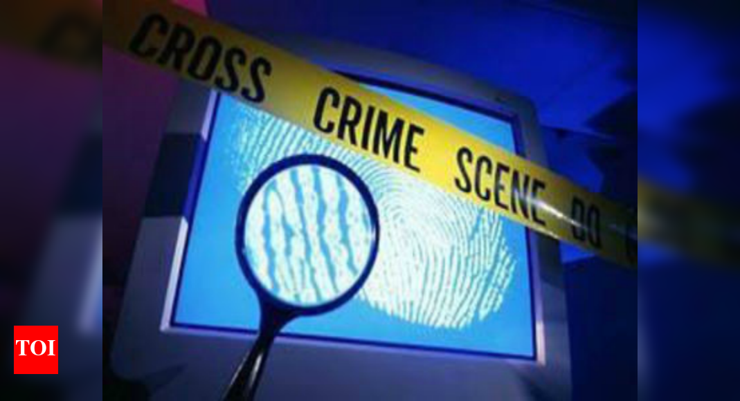 Cyber Crime: How online scams happen and how to avoid them - Times of India