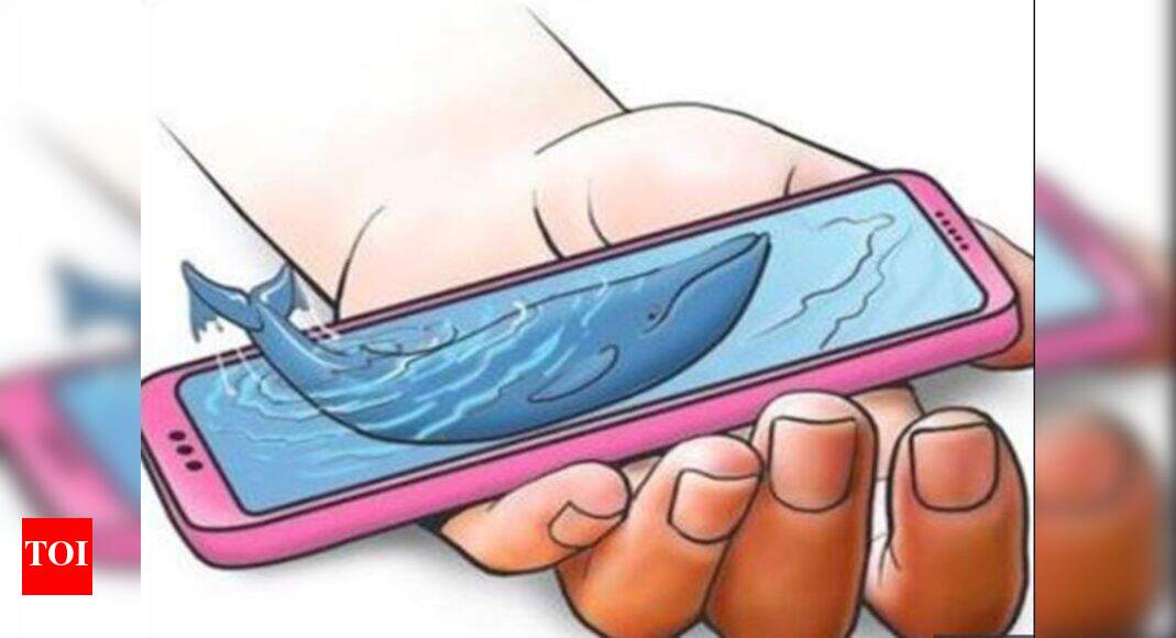 Blue Whale Game: Karnataka wakes up to Blue Whale Challenge, to create ...