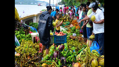 Medicinal Properties: Matoli, A Medicinal Heritage | Goa News - Times ...