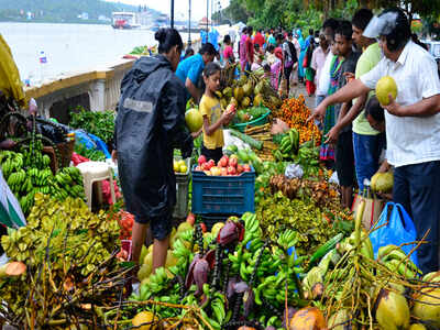 Matoli, A Medicinal Heritage | Goa News - Times of India