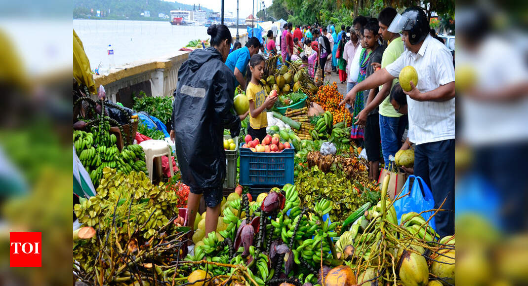 Medicinal Properties: Matoli, A Medicinal Heritage | Goa News - Times ...