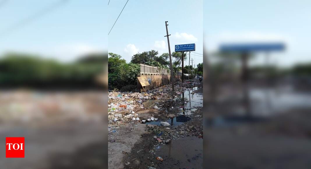 This is how Bamnoli welcomes You - Times of India