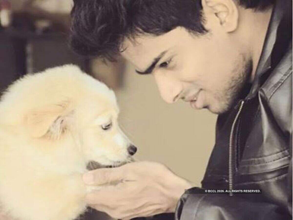 Vishnu Raj Menon shows beauty is in simplicity