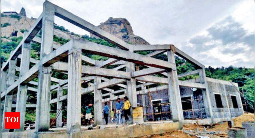 Next year, ride cable car to Sholinghur shrine | Chennai News - Times ...