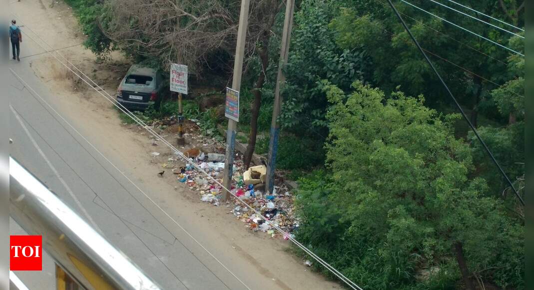 Garbage on the road - Times of India