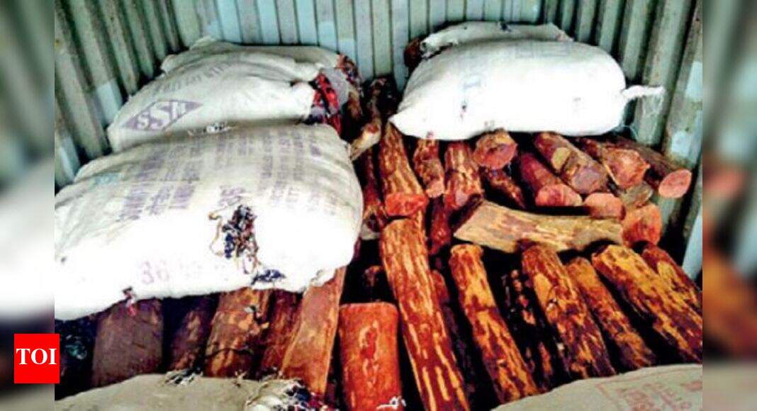 Red Sanders: Red sanders worth Rs 16 crore seized at port | Chennai ...