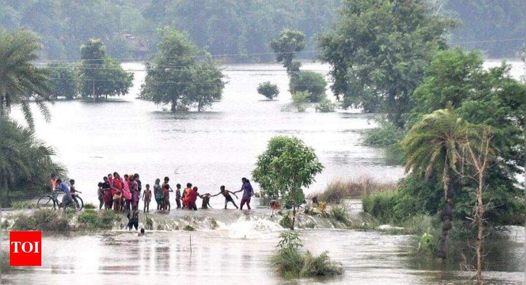 Floods claim 42 more lives, toll rises to 482 | Patna News - Times of India