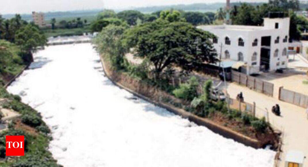 Bellandur Lake: All stakeholders shying away from cleaning Bellandur ...