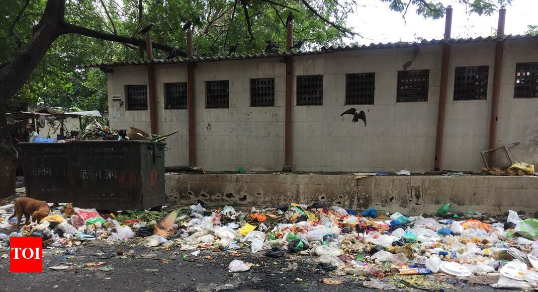 swacha Bharat - Times of India