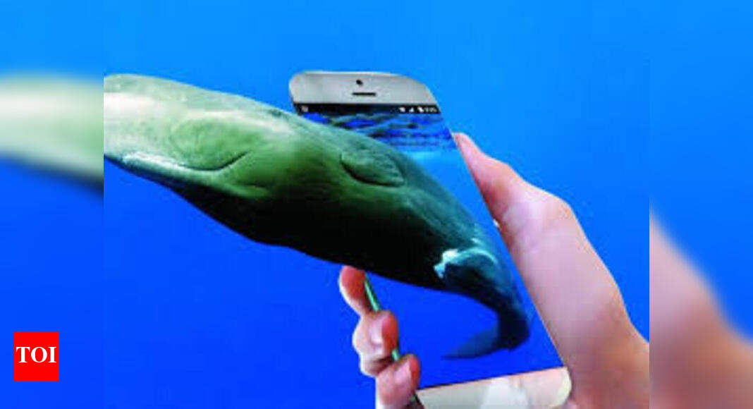 Blue Whale Game: Blue Whale game ‘mastermind’ held - Times of India