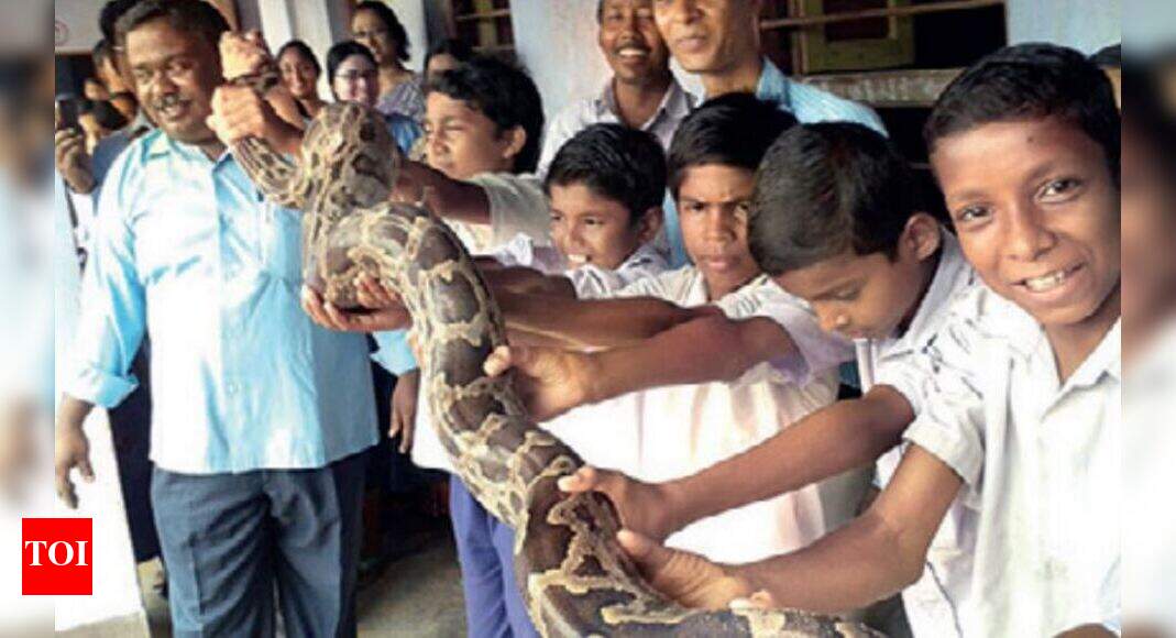 Raising awareness, with a python in classroom | Kolkata News - Times of ...