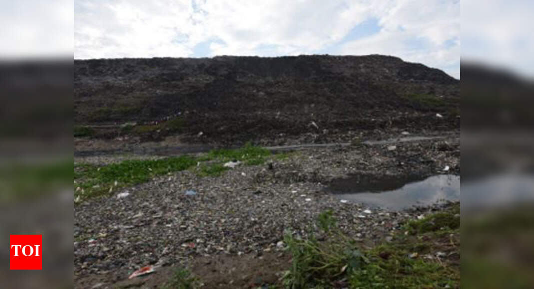 No landfill, more returns if you sort waste | Delhi News - Times of India