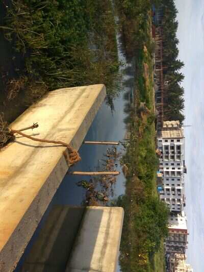 sewage water seeps into singasandra lake - Times of India