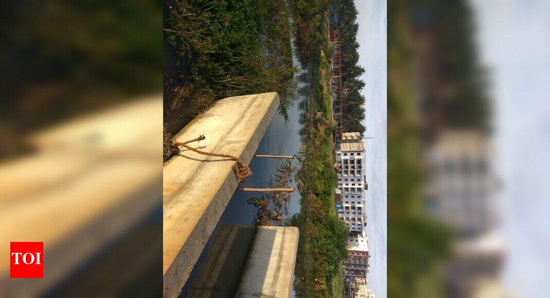 sewage water seeps into singasandra lake - Times of India