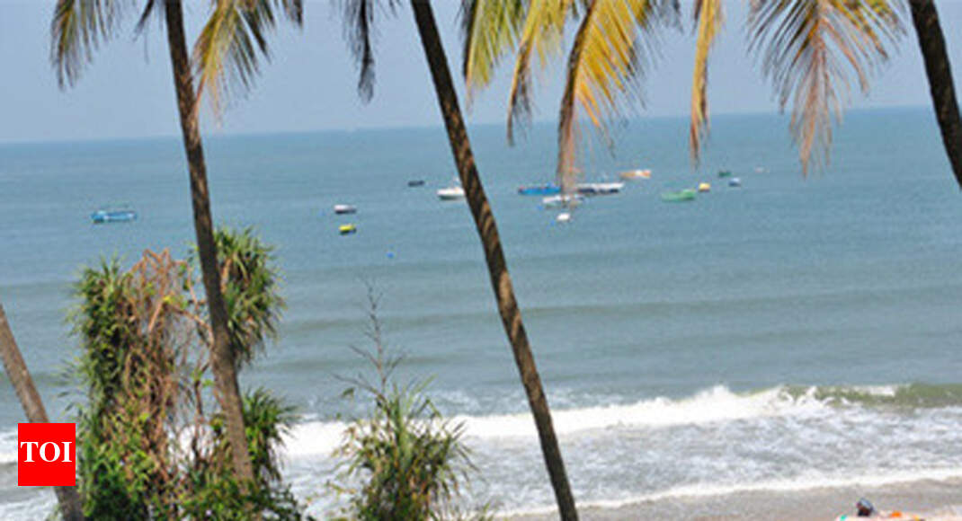 Curating treasures at Curca | Goa News - Times of India