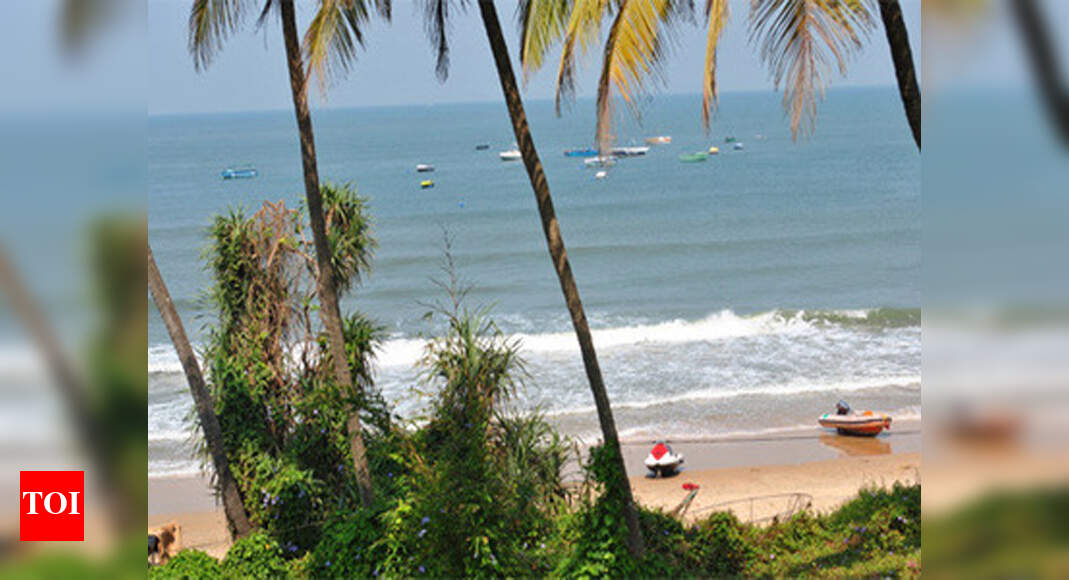 Curating treasures at Curca | Goa News - Times of India