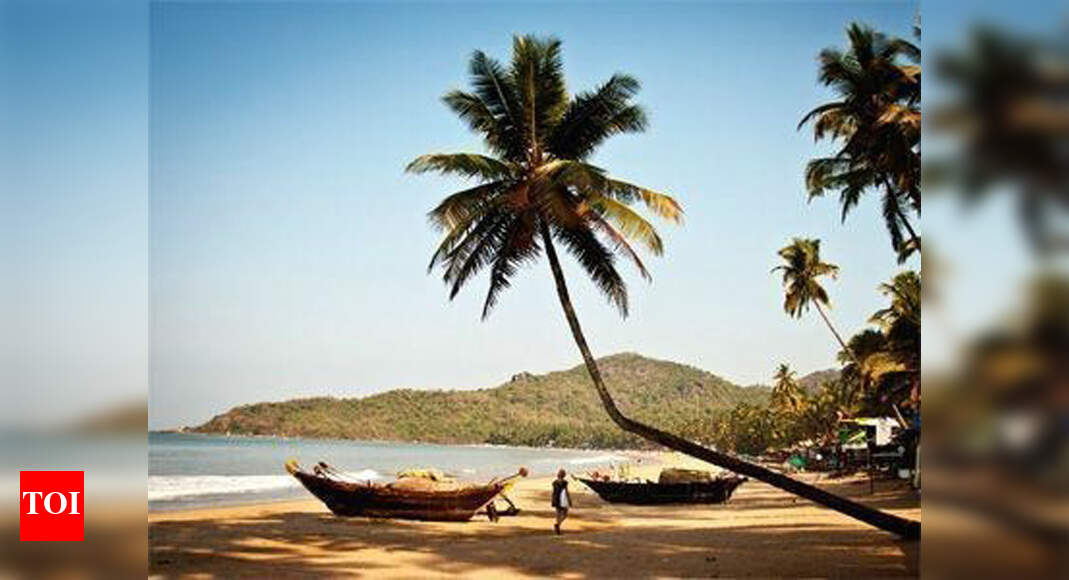 Curating treasures at Curca | Goa News - Times of India