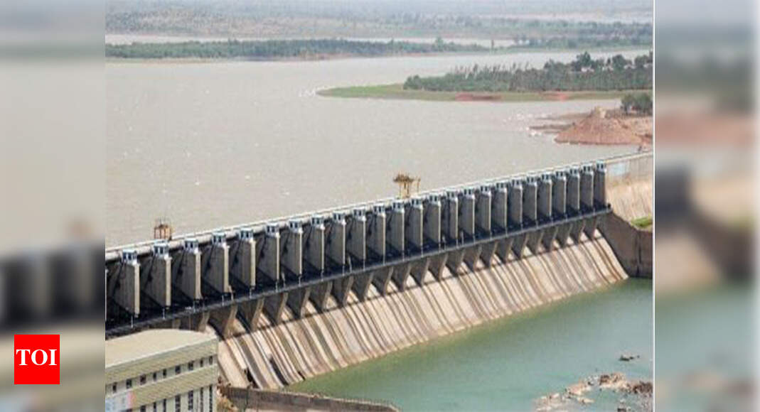 Krishna Bhagya Jala Nigam: Report: 1.4 lakh trees, plants will be cut ...