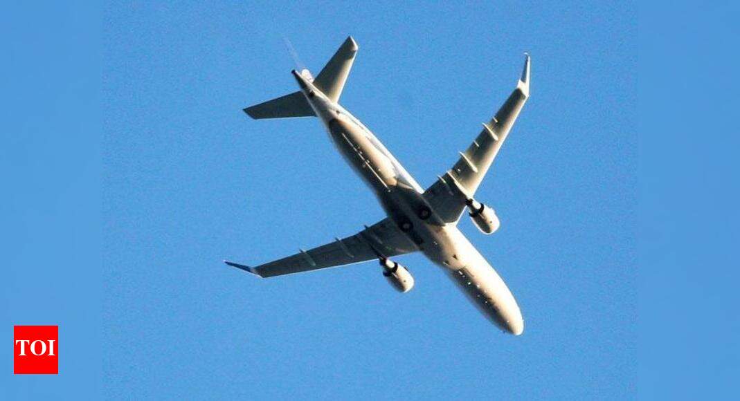 No Fly List: Govt lists 3 levels of offences for 'No-Fly List', most ...